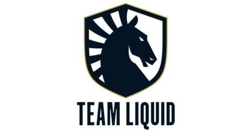 The WoW Guild Limit is Now Part of Team Liquid - MMORPG.GG