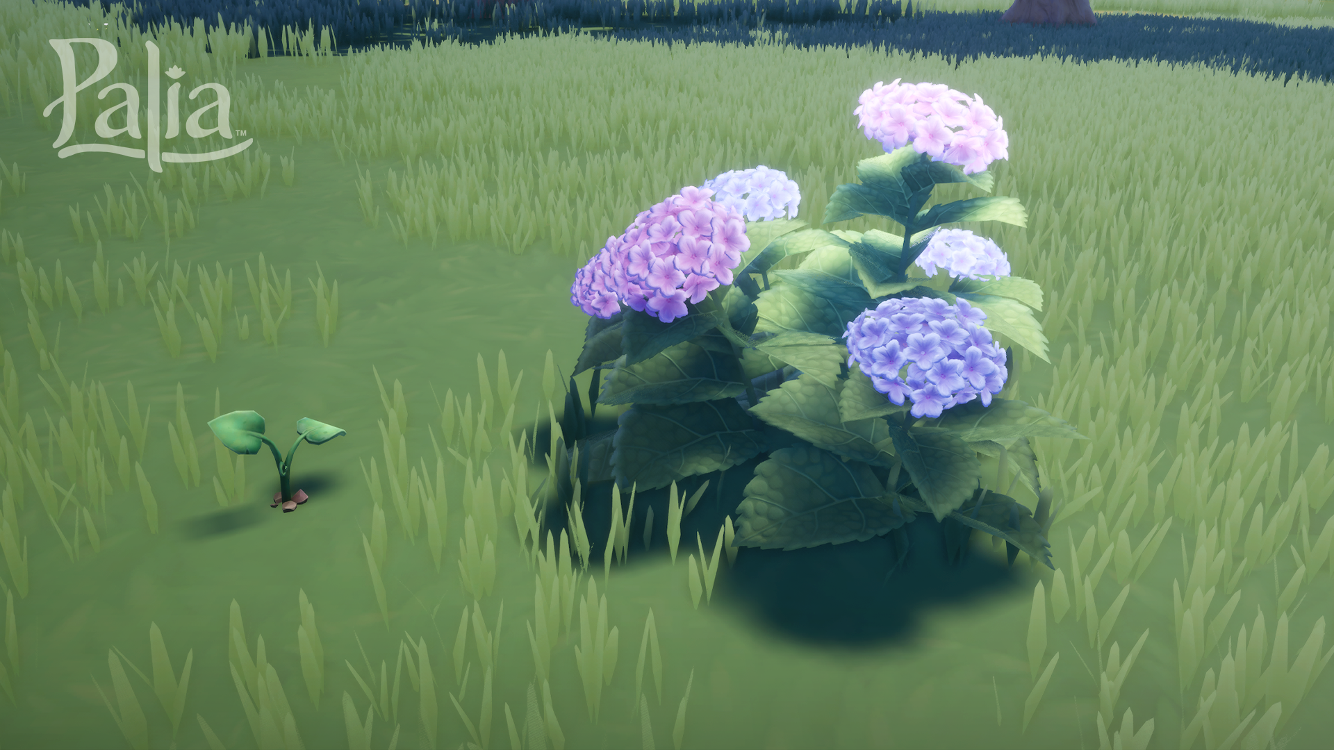 Palia Prepares for Steam Launch with Update and New Features - MMORPG.GG